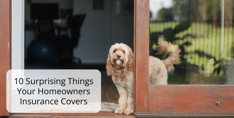 10 Surprising Things Your Homeowners Insurance Covers - Musty-Barnhart ...